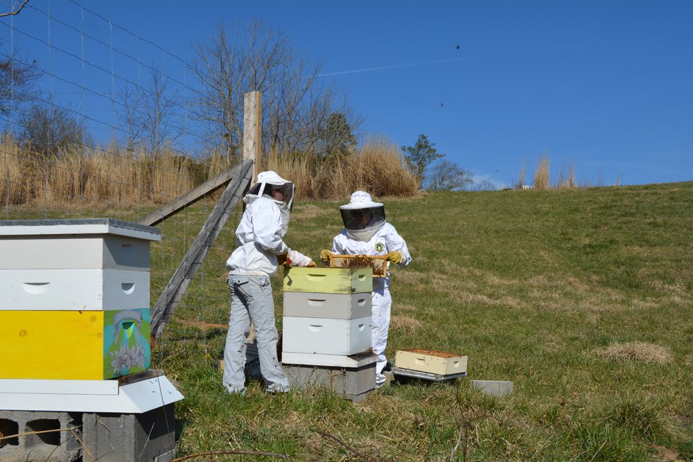 Photo(s) of the Week: Penland Bees - Penland School of Craft