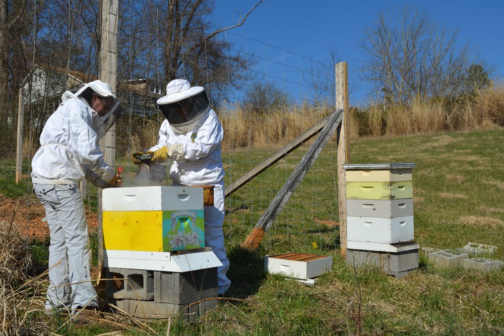 Photo(s) of the Week: Penland Bees - Penland School of Craft