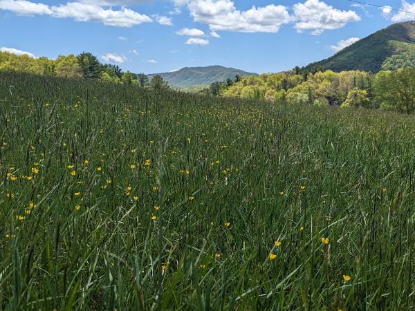 Announcing the 2025 Penland Core Fellows - Penland School of Craft
