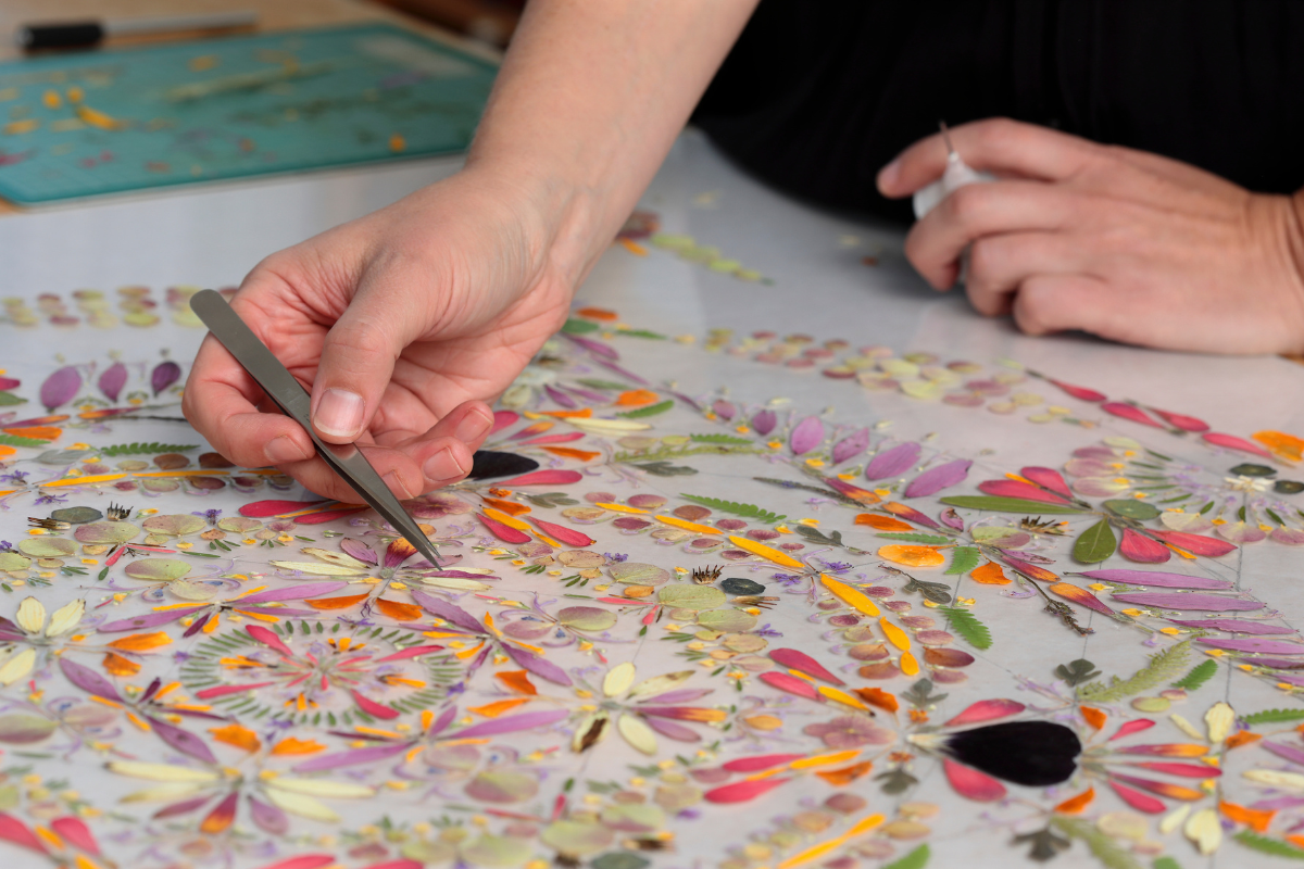 Hillary Waters Fayle's Botanical "Portraits of Place" - Penland School ...