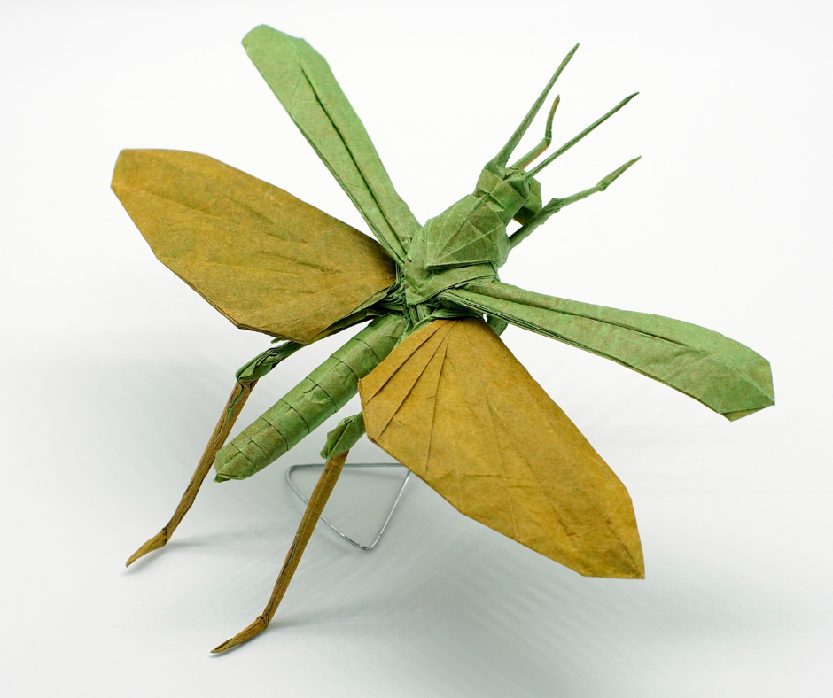 Folding and Designing Origami— Interview with Brian Chan - Penland ...