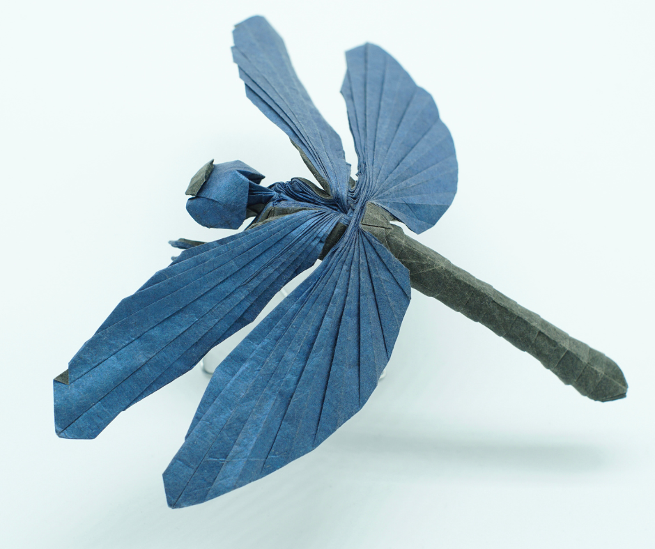 Folding and Designing Origami— Interview with Brian Chan - Penland ...