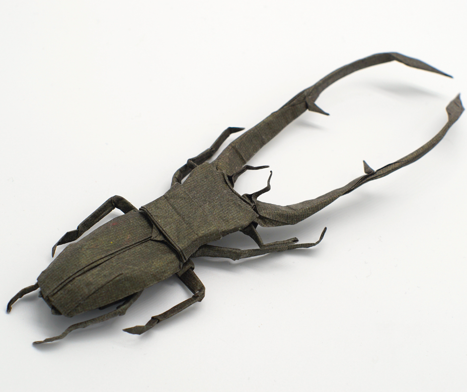 Folding and Designing Origami— Interview with Brian Chan - Penland ...