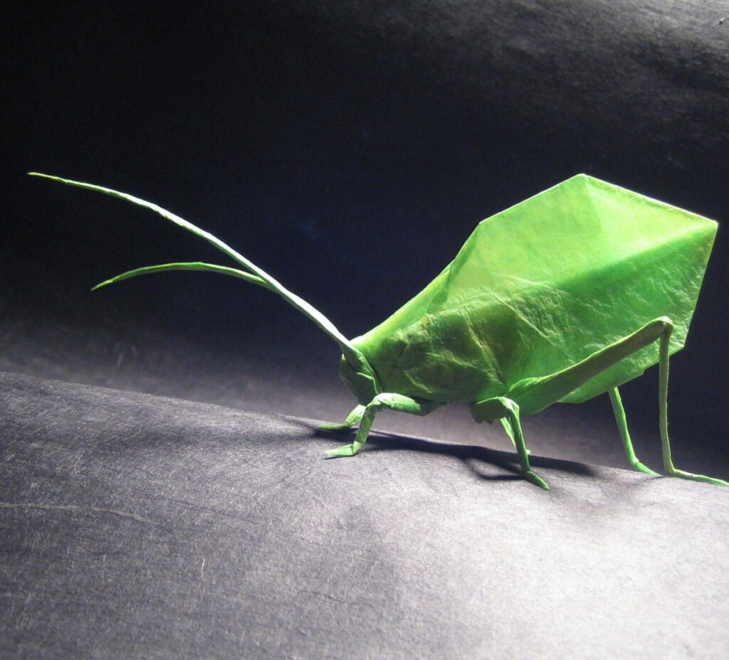 Folding and Designing Origami— Interview with Brian Chan - Penland ...